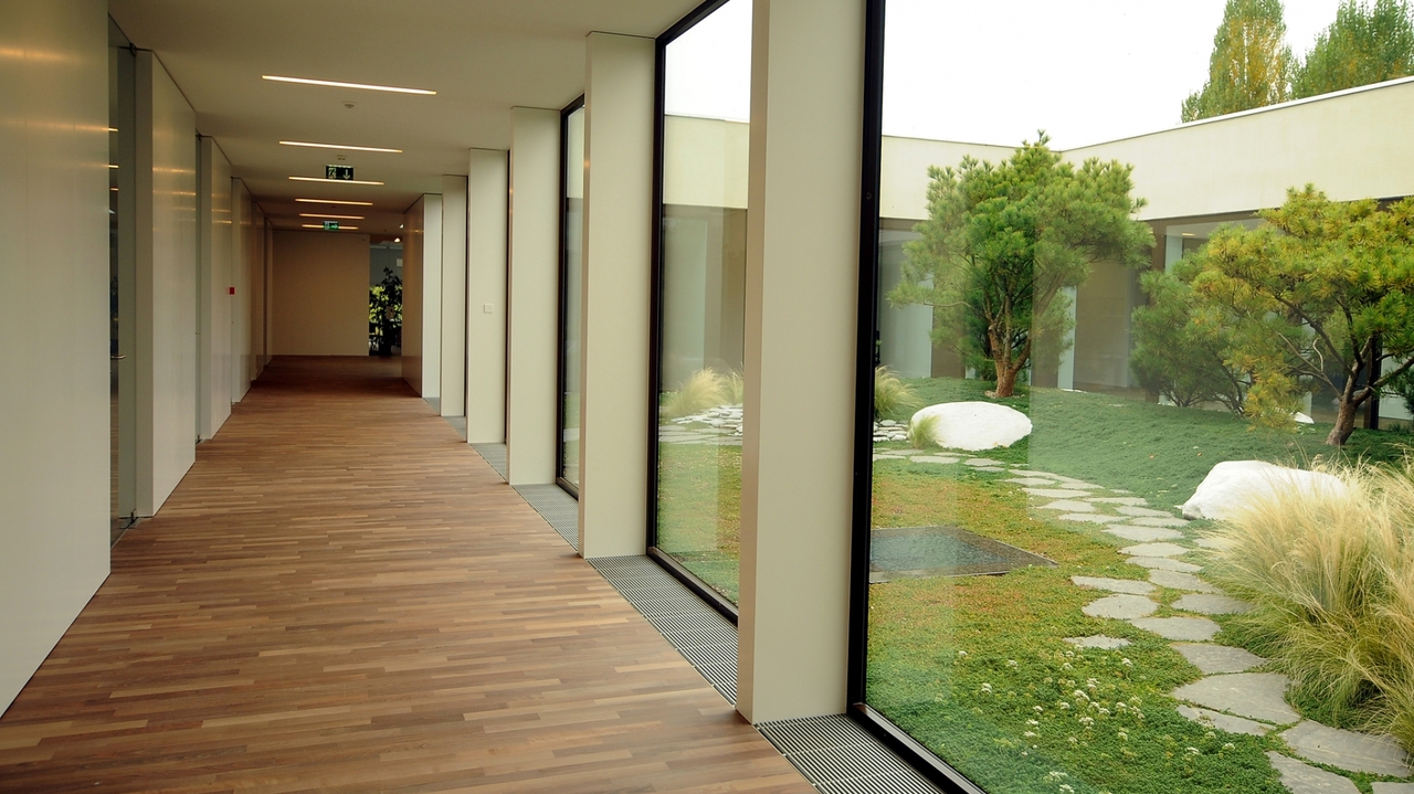 Tschopp - Structural Windows